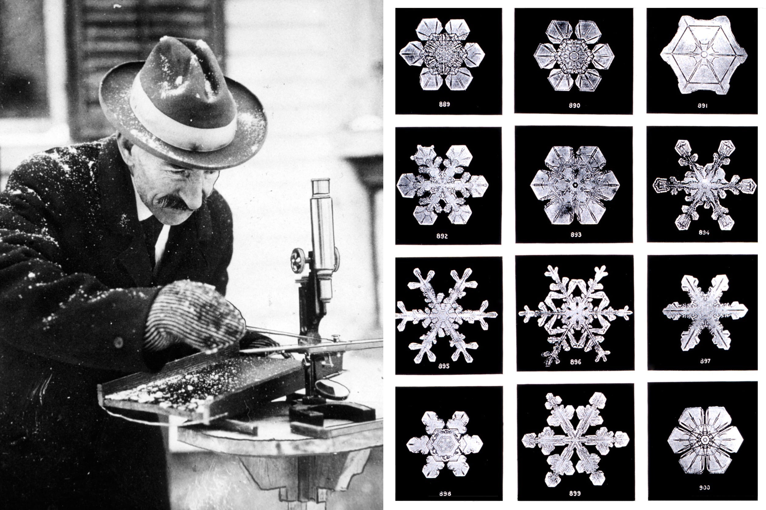 Snowflake Bentley – REMO Since 1988