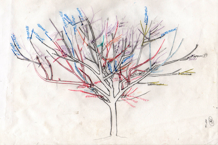 Tree of 40 Fruit – REMO Since 1988