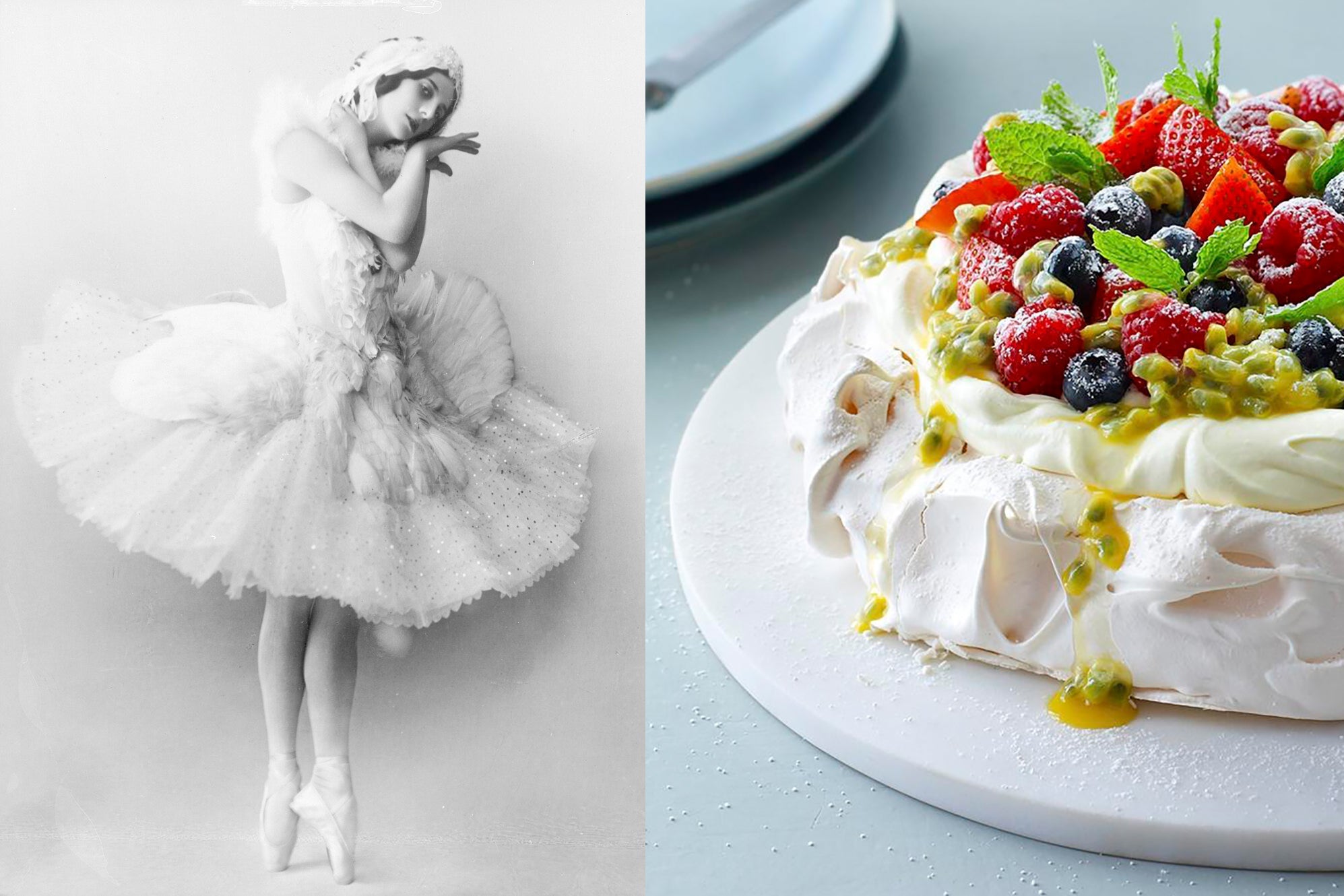 Pavlova – REMO Since 1988