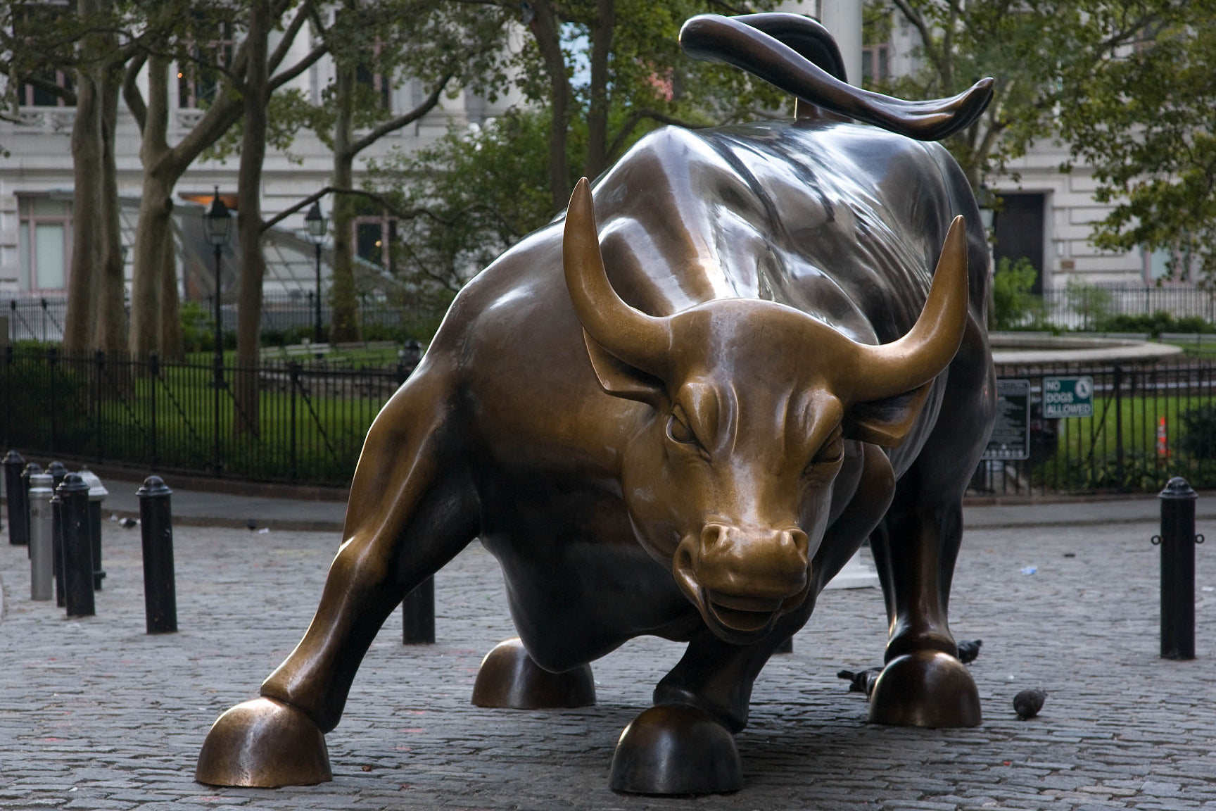 Charging Bull – REMO Since 1988