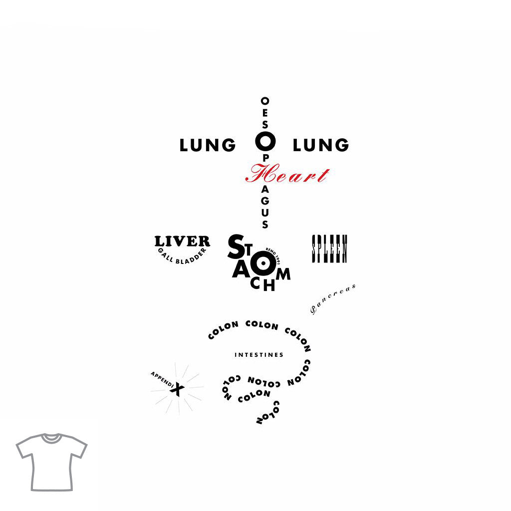 Christmas Elves & Organ Locators – REMO Since 1988