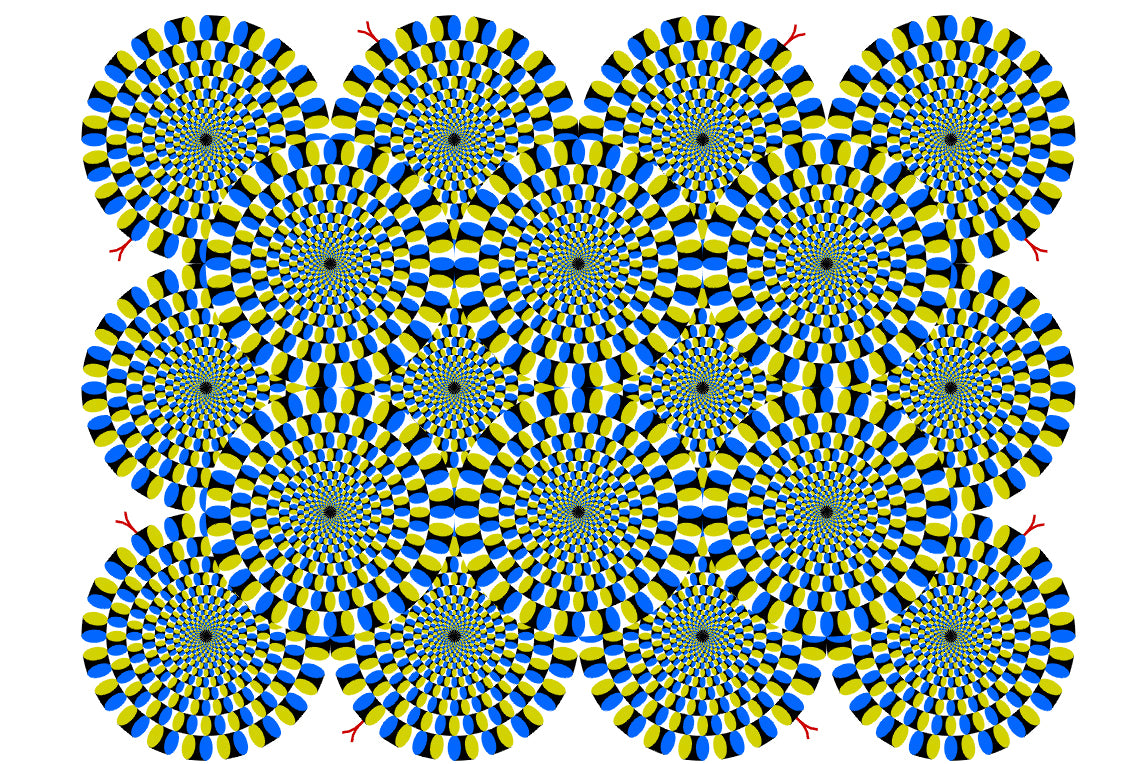 Rotating Snakes – REMO Since 1988