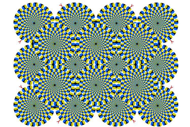 Rotating Snakes – REMO Since 1988