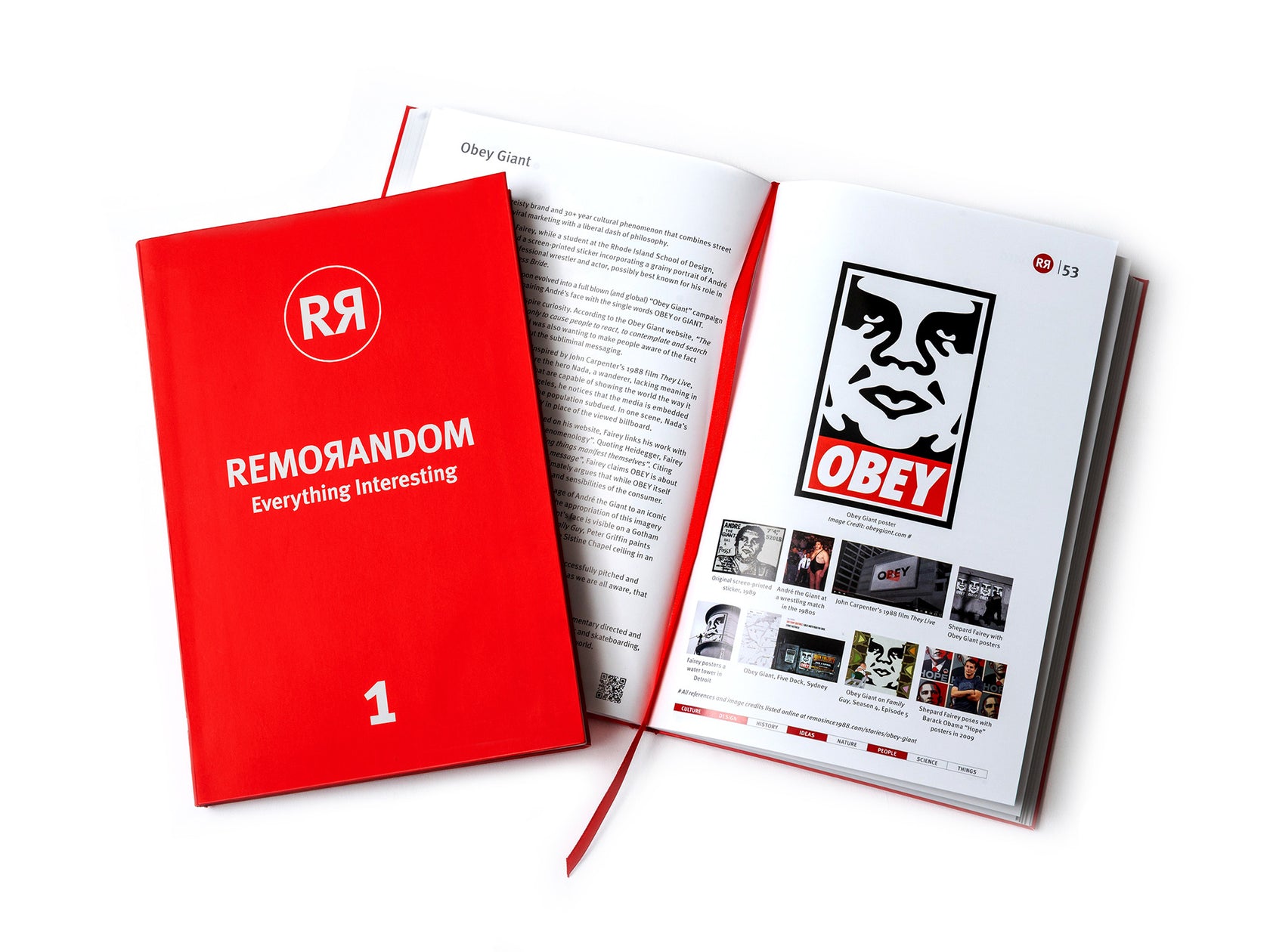 Ambiguous Images 1 – REMO Since 1988